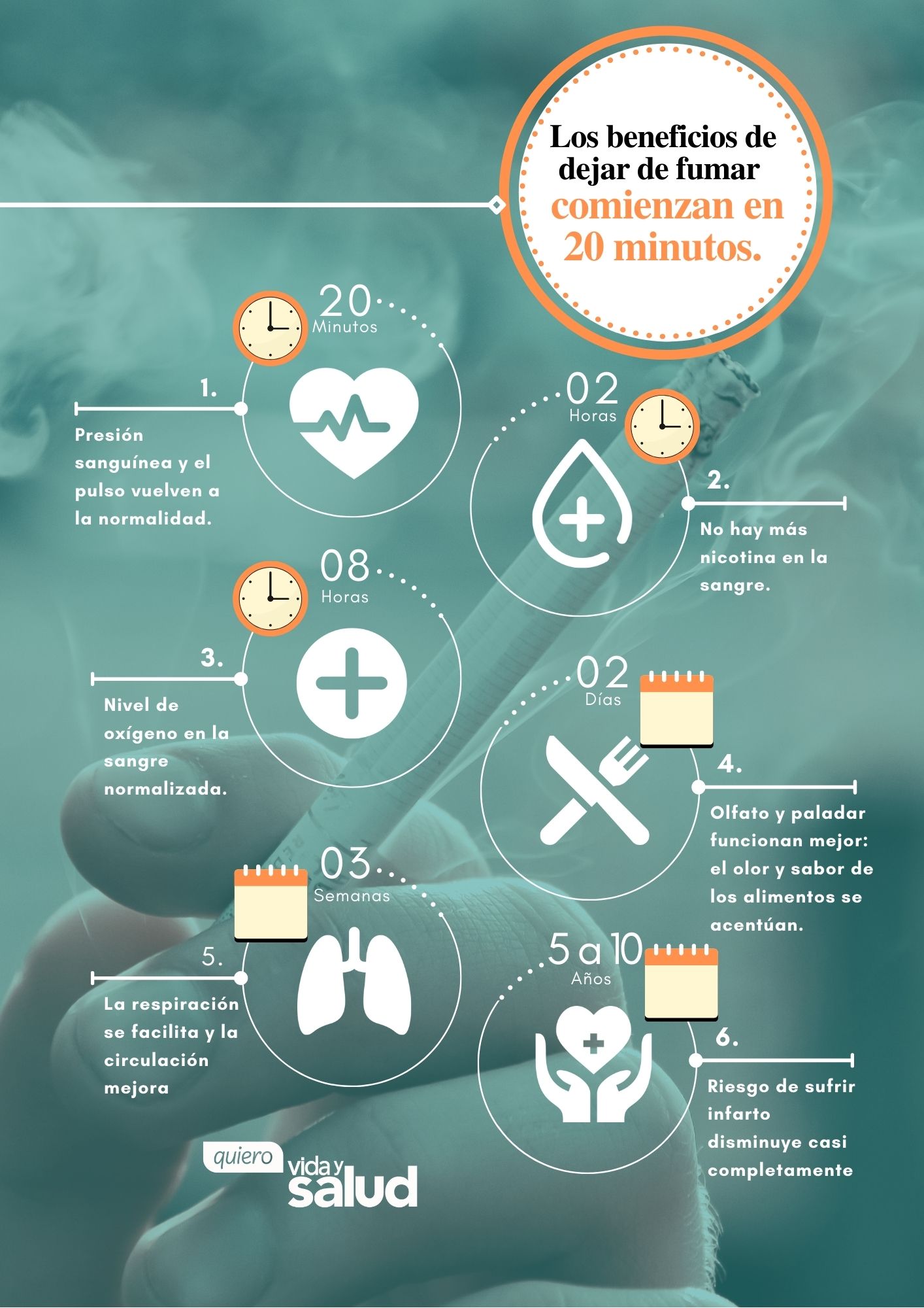 4 pasos para dejar de fumar – Quiero Vida y Salud